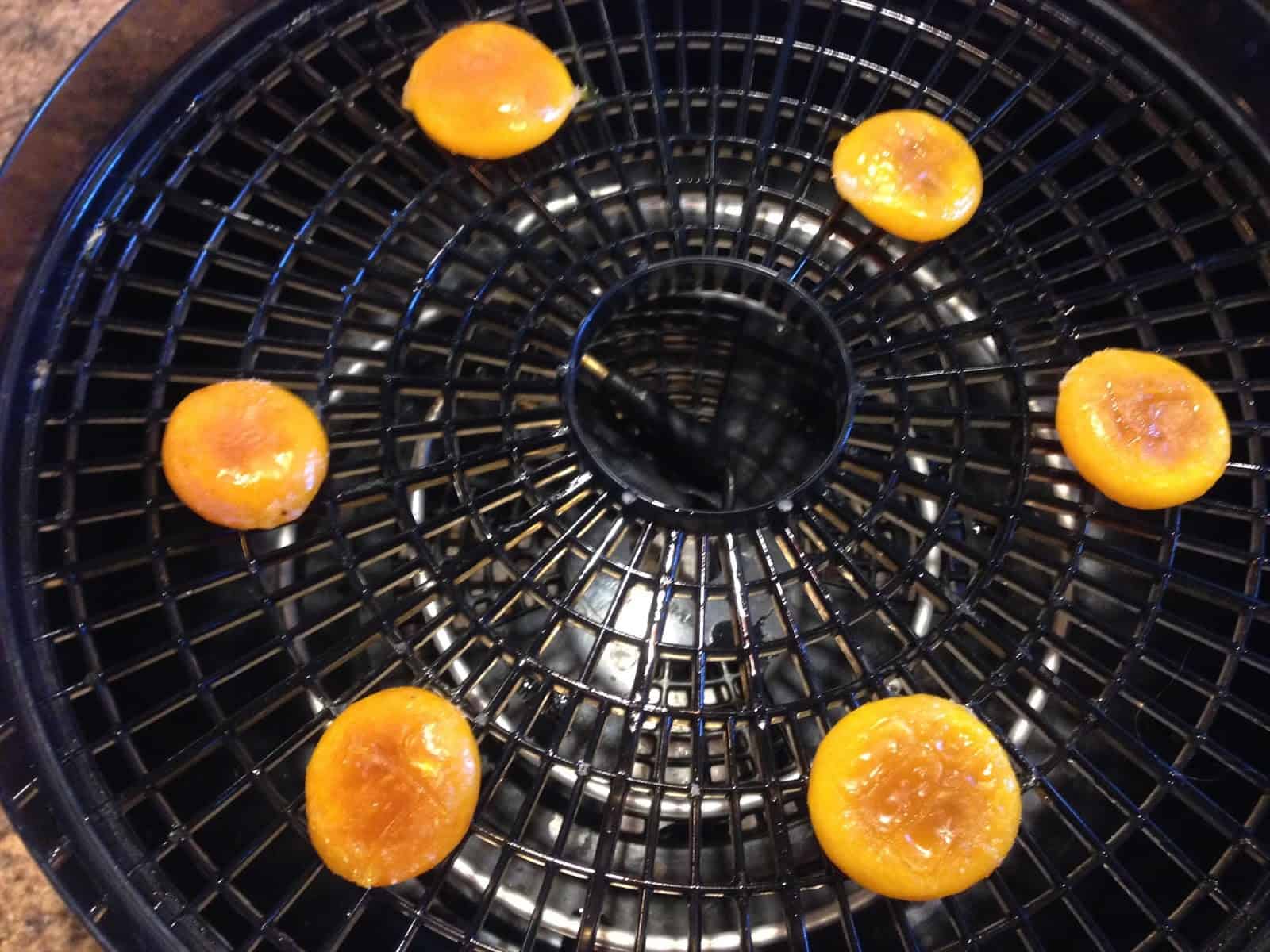 How to Salt Preserve Things