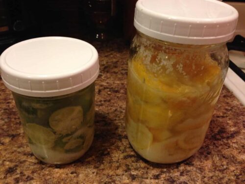 How to Salt Preserve Things