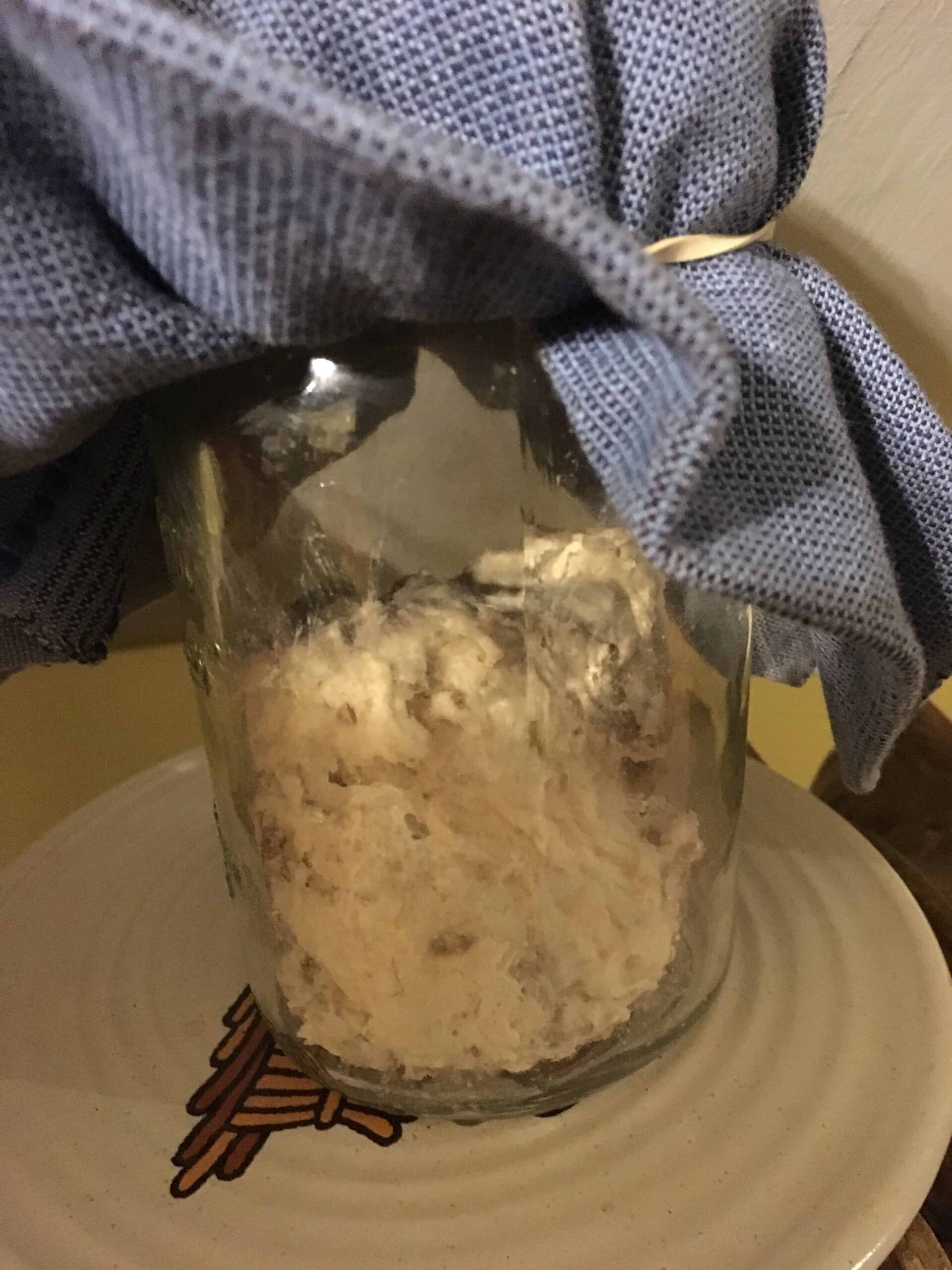 Adventures in Fermenting
